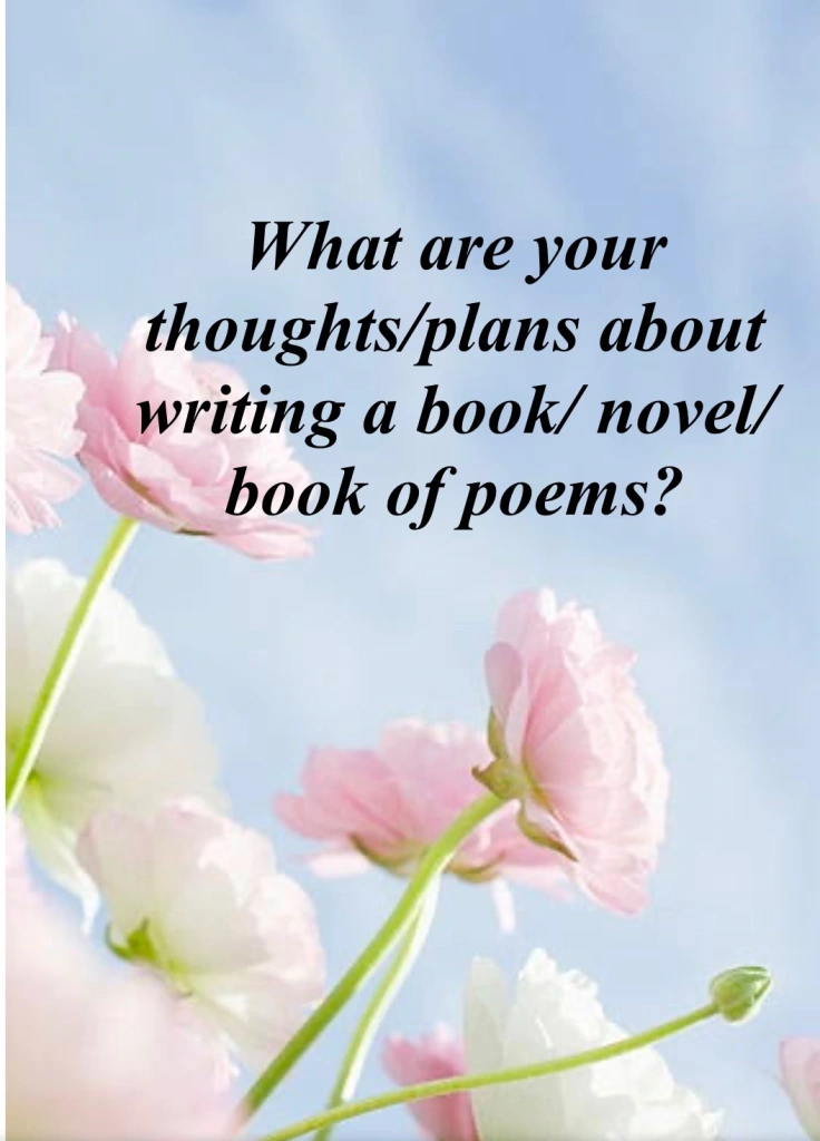 Plans of Writing – Writer Ravenclaw