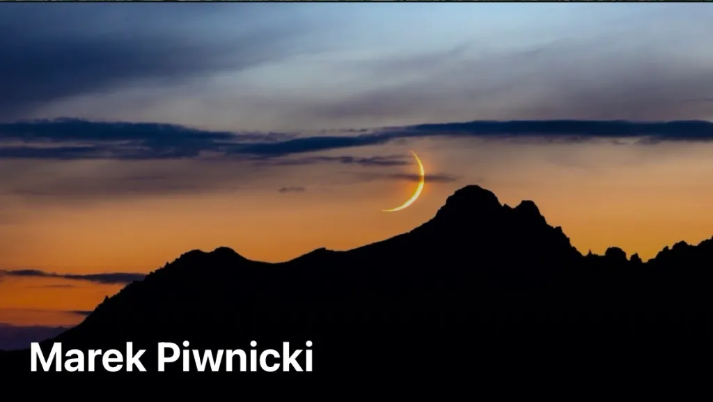 Strong Roots – Writer Ravenclaw